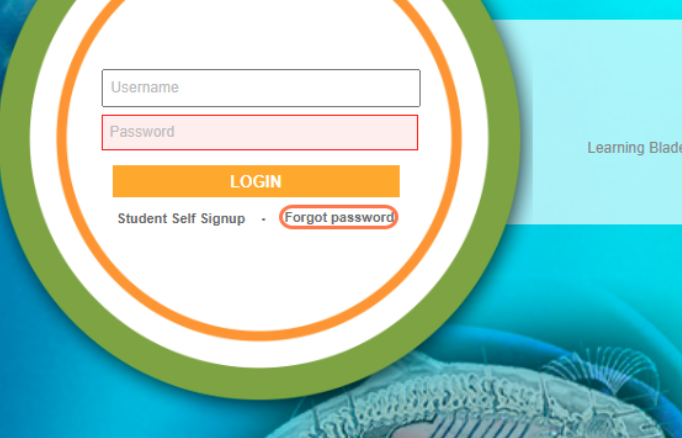 Learning Blade - Login Credentials / Password Recovery